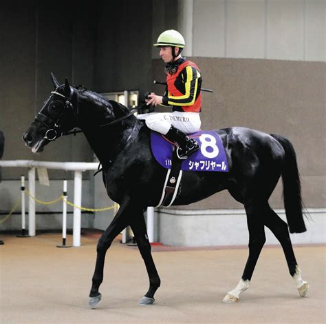 シャフリヤールがc・デムーロ騎乗でジャパンカップへ【競馬】：中日スポーツ・東京中日スポーツ