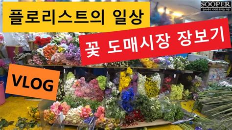 꽃 도매시장 장보기 브이로그 플로리스트의 일상 Vlog Youtube