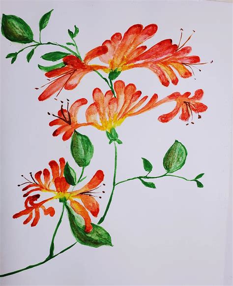 Honeysuckle Painting By Kyle Ripley Fine Art America