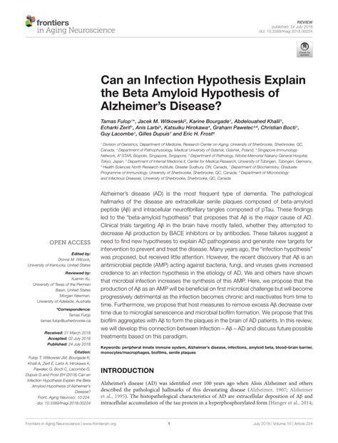 Pdf Can An Infection Hypothesis Explain The Beta Amyloid Hypothesis