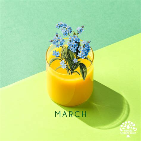 플로리다 모든 것을 새로이 시작하는 3월 🎵 새로운 반과 친구들을 마주한 학생 여러분도 졸업 후 새로운 곳으로 발을 디디는 사회 초년생 여러분도 똑같은 듯