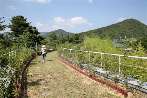 무주 공공건축프로젝트 22 반디랜드 곤충박물관