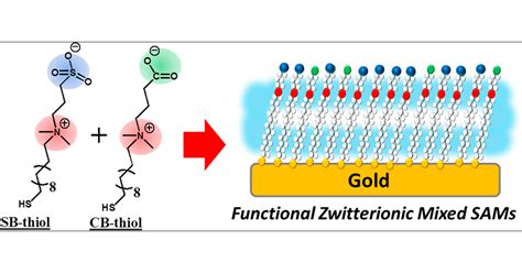 Functional Biointerfaces Based On Mixed Zwitterionic Self Assembled Monolayers For Biosensing