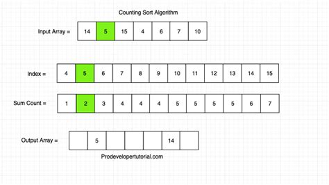 Sorting Algorithm 11 Counting Sort