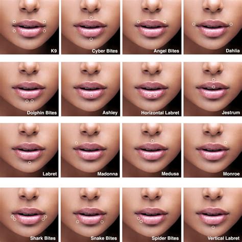 Soorten Lip Piercings Grafiek Piercing Stock Illustrations Vectors