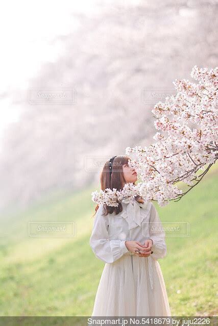 桜の木の下で桜を見る若い女性の写真・画像素材 5418679 Snapmart（スナップマート）