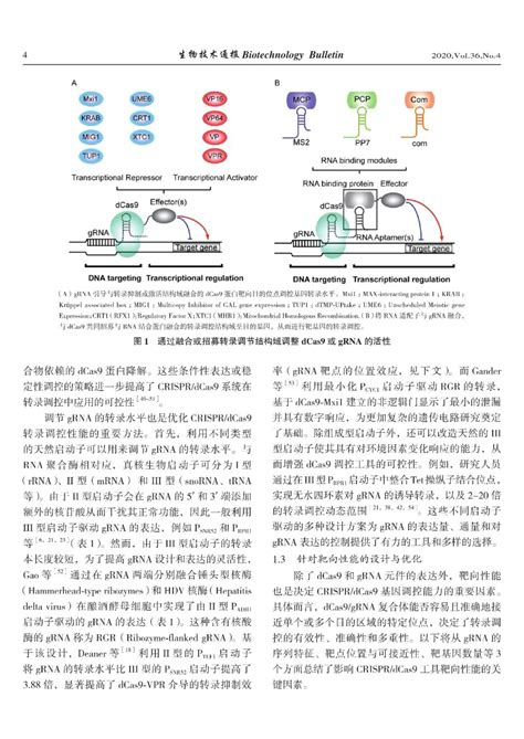 最新上线 酿酒酵母中基于crispr Dcas9 的基因转录调控工具的开发与应用 搜狐大视野 搜狐新闻
