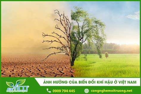 Tổng Hợp Những ý Tưởng Vẽ Tranh Bảo Vệ Môi Trường