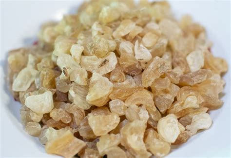 Edible Gum Tree Sap Gum Tragacanth Stock Image Image Of Systems