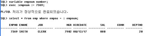 [oracle] 리터럴 변수와 바인딩 변수