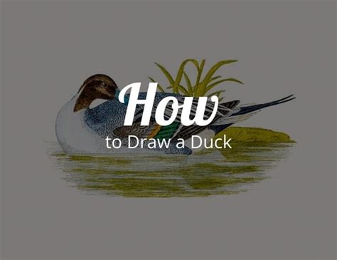 How To Draw A Duck CraftyThinking