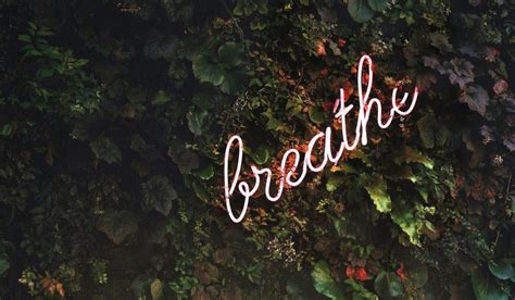 Taylor Galbraith Mba Posted On Linkedin