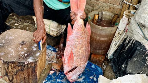 Fastest Cutting Skills Big Red Snapper Fish Cutting By Expert Fish