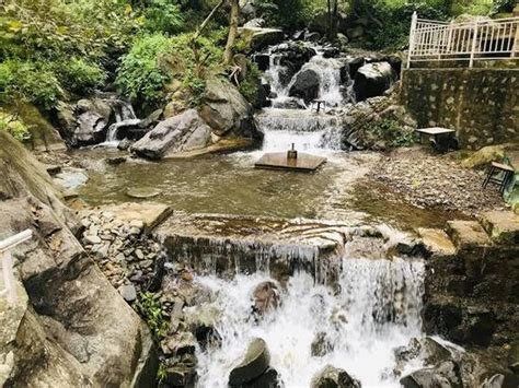 Waterfall Jangeshu Kasauli Restaurant Reviews