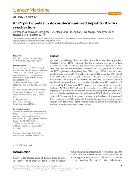 PDF RFX1 Participates In Doxorubicin Induced Hepatitis B Virus