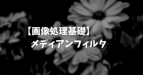 【画像処理基礎】ノイズを除去するメディアンフィルタ Craft Gogo