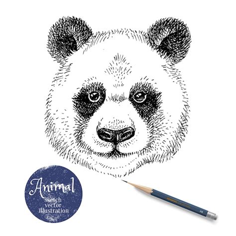 Premium Vector Hand Drawn Sketch Panda Head Illustration Isolated