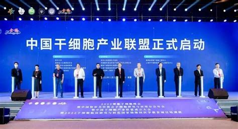 中国干细胞产业联盟正式成立 多位院士“带队”探路干细胞产业 知乎
