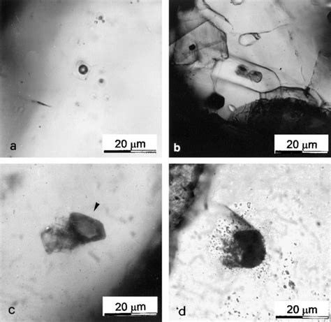 Photomicrographs Showing General Characteristics Of Silicate Melt