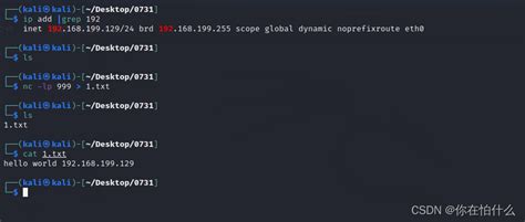 Netcat的使用 Csdn博客