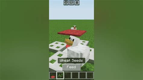 Minecraft Tiktok Hacks Viral Tiktok Hacks Pocket Edition Shorts
