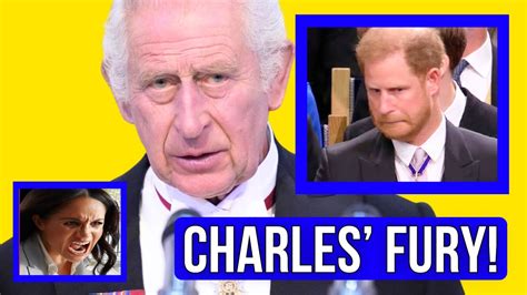 "You're Banned!" King Charles Furiously Blocks Harry After Being ...