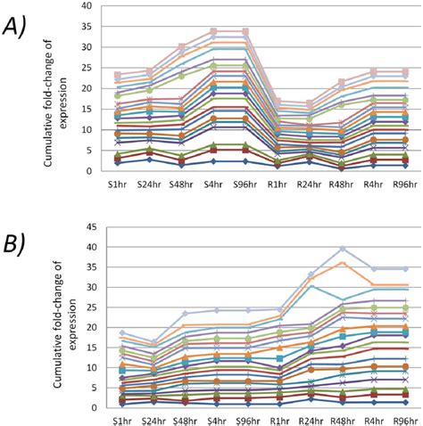 Examples Of Highly Correlated Gene Expression Throughout Post Infection Download Scientific