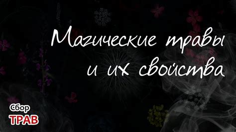Магические травы и их свойства - YouTube