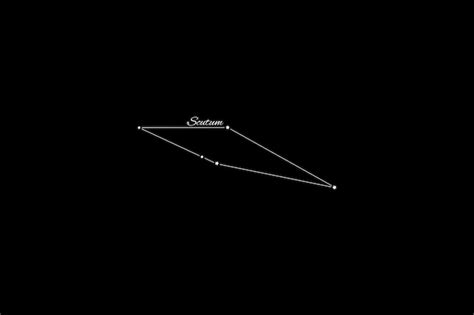 Premium Photo Scutum Constellation Cluster Of Stars Shield Of