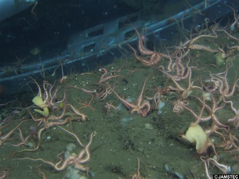 Underwater Debris Object Detection Dataset By Kapal Selam