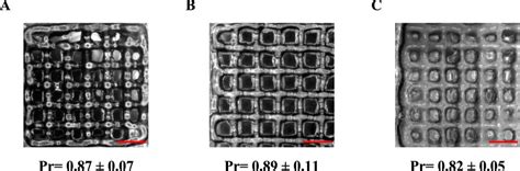 3d Printing Of Cell Laden 20 Million Cells Ml⁻¹ Crosshatch Structures