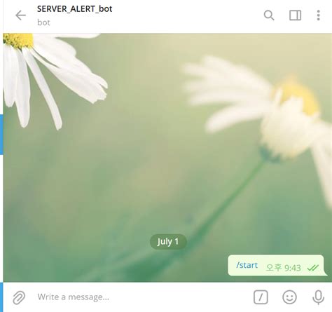 [node js] 서버 에러 발생시 텔레그램으로 오류 내용 받는방법 kay it blog