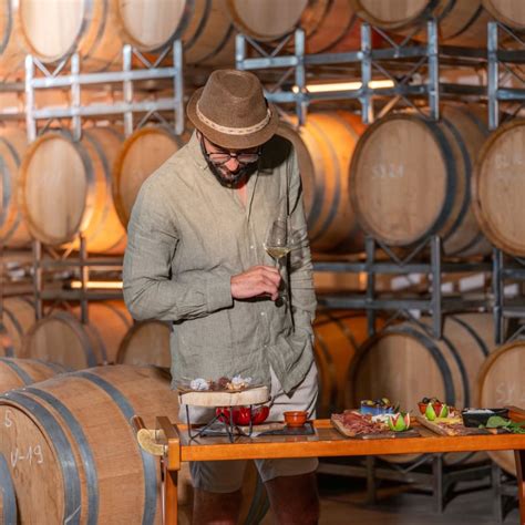 Zamislite Sebe Kako šetate Kroz Povijest Između Redova Bačvi I Slušate Priču O Vinskoj