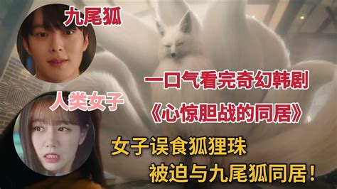 【米虫】美女误吞千年九尾狐内丹，被迫与其同居，一口气看完奇幻韩剧《心惊胆战的同居我的室友是九尾狐》 Youtube