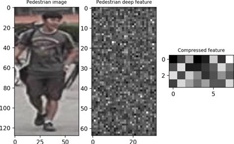 The Example Of Dimensionality Reduction For Pedestrian Image Download Scientific Diagram