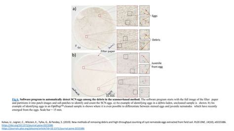 Parasite Nematode Egg Extraction And Counting Pptx Chemistry Science