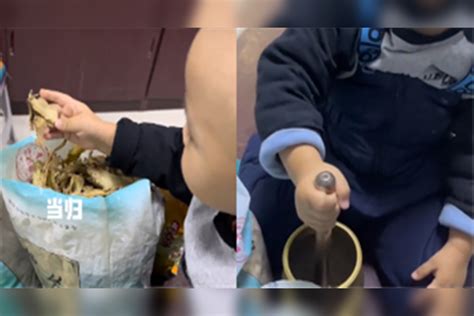 1岁多萌娃每天和奶奶认药，辨识十几味中草药：到18岁就是“老”中医