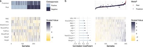 Multivariate Elastic Net Model For Categorical A And Continuous B