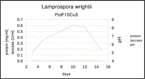 16 L Wrightii Cultivated In Potato Media With 10 Gl Fructose