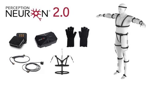 Perception Neuronとは？使い方や価格セットアップ手順を解説！ Xr Hub