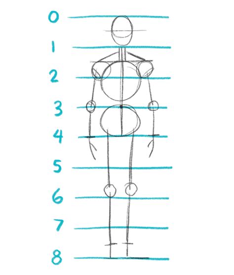 Day 22 How To Draw Body Proportions • Bardot Brush
