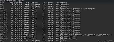 Fastcgi协议与php Fpm 攻击方法通过fastcgi协议给攻击php Fpm Csdn博客