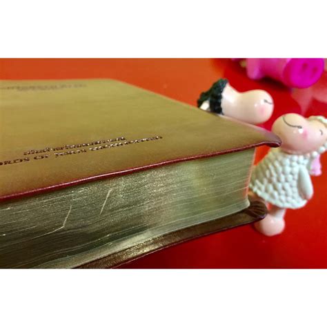 พระคัมภีร์รุ่นเน้นคำตรัส ปกหนังอิตาลีสีน้ำตาลอ่อน 14 5x21 Cm Bible พระ