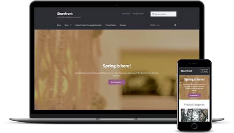 10 Meilleurs Thèmes Wordpress Gratuits Expoweb