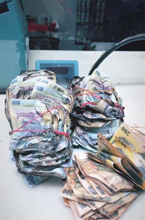 Un Român A Mers La Bnr Cu Un Teanc De Bancnote Arse și A Primit Unele