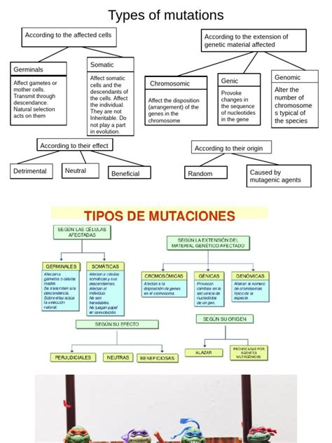 Types Of Mutations Pdf