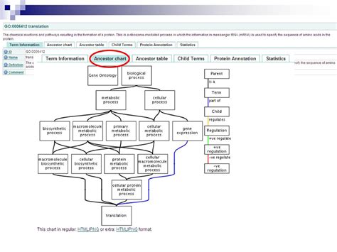 Getting Go Annotation For Your Dataset Ppt Download