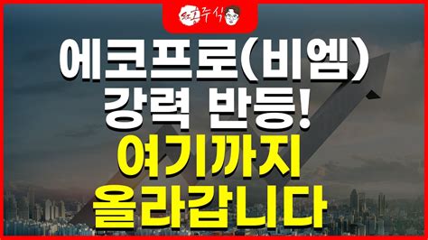 에코프로 비엠 강력 반등 여기까지 올라갑니다 YouTube