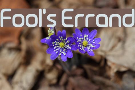 fool s errand font