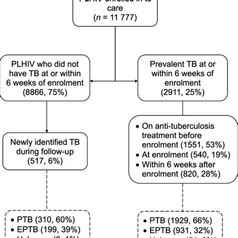 Flow Chart Showing Prevalent TB At Enrolment To Care And Newly Download Scientific Diagram